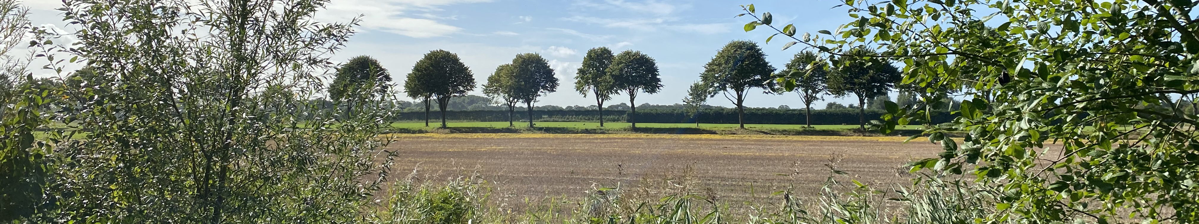 Buijtenland van Rhoon (IJsselmonde) | Provincie Zuid-Holland
